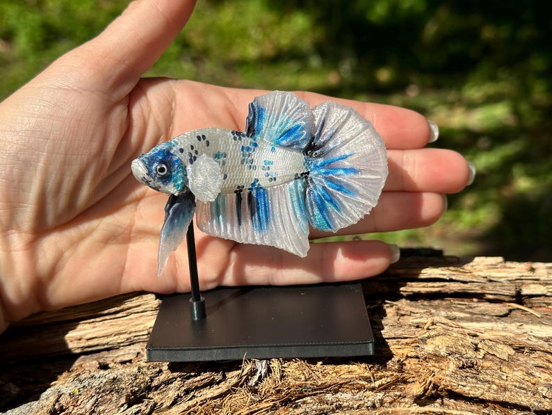 Custom Order Request 3d Betta Figurine With Removable Stand - Etsy