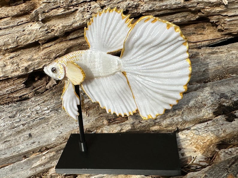 Custom Order Request 3d Betta Figurine With Removable Stand - Etsy