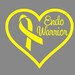 Endo Warrior Endometriosis Awareness Ribbon Vinyl Decal Endo Survivor ...