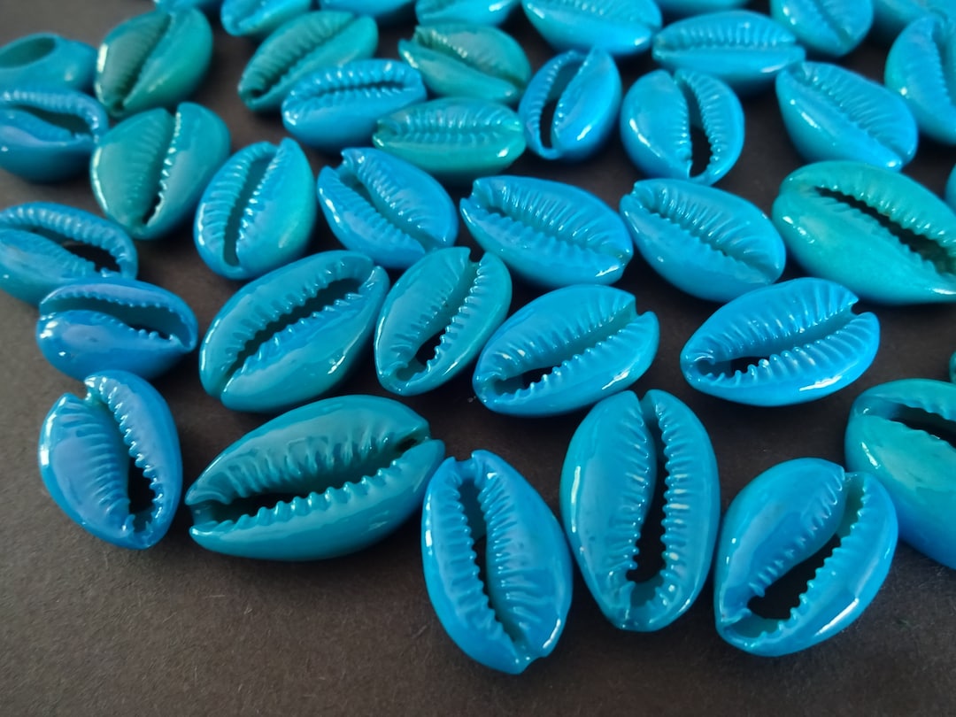 20-25mm Painted Natural Cowrie Shell Beads, Undrilled Spiral Shell ...