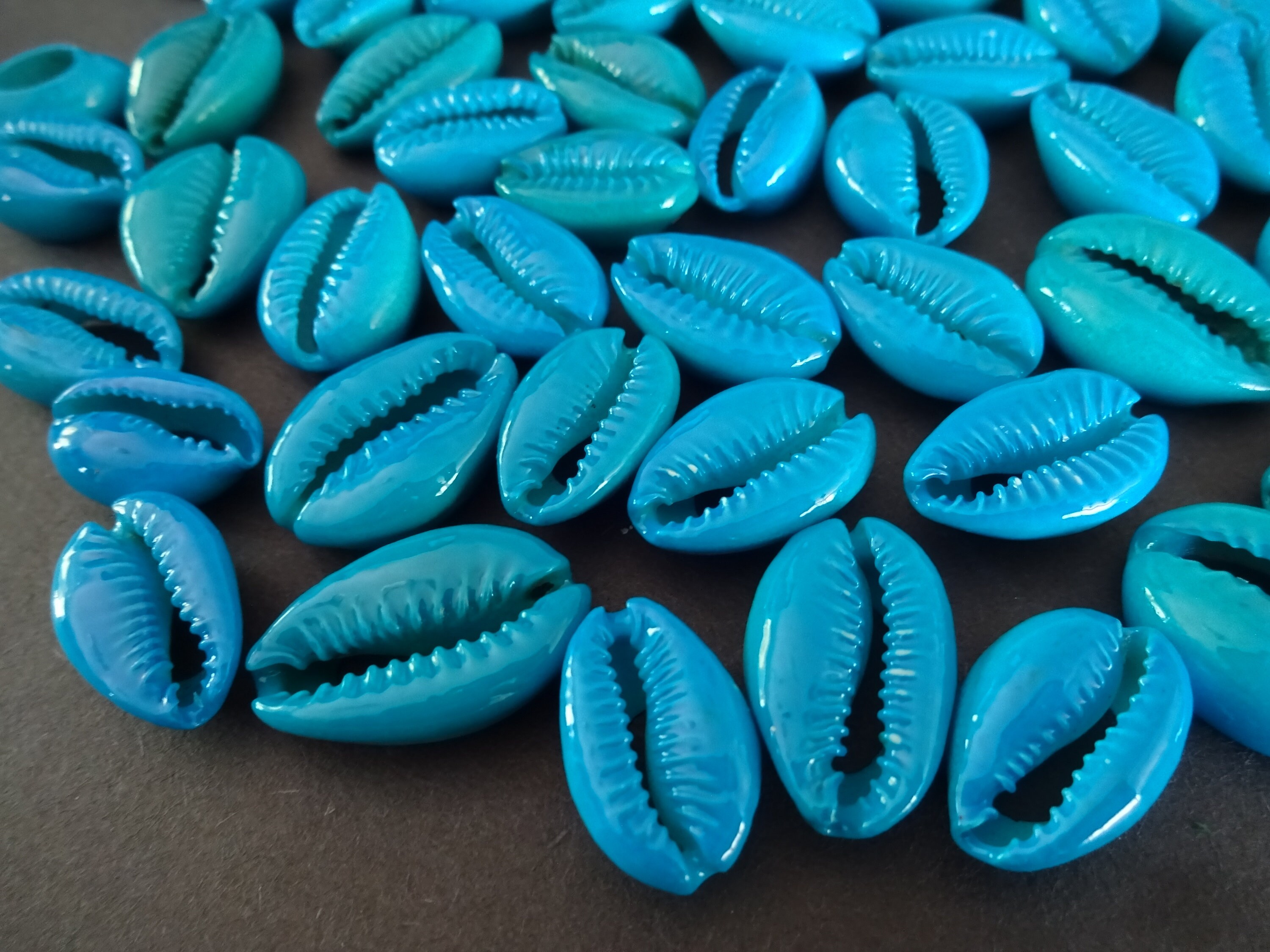 20-25mm Painted Natural Cowrie Shell Beads, Undrilled Spiral Shell ...