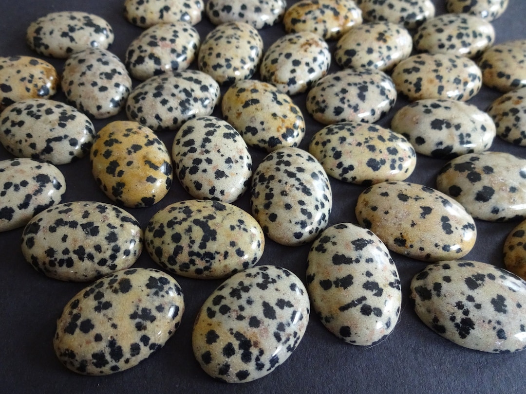 25x18mm Natural Dalmatian Jasper Cabochon, Oval Gemstone Cabochon ...