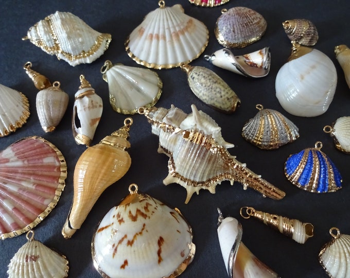 SET OF 25 Mixed Natural Shell Pendants With Loops, 23-86mm ...