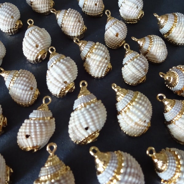 Shell Charms - Etsy