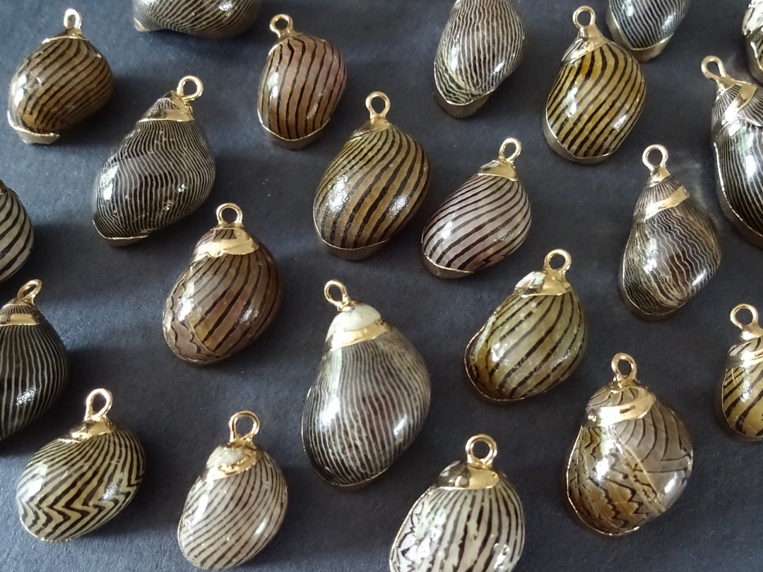 20-35mm Natural Spiral Seashell Pendants With Golden Iron ...