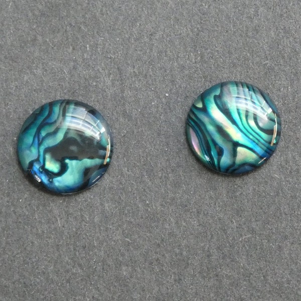 Paua Shell - Etsy
