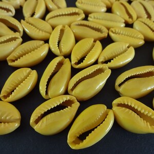 20-25mm Painted Natural Cowrie Shell Beads, Undrilled Spiral Shell ...