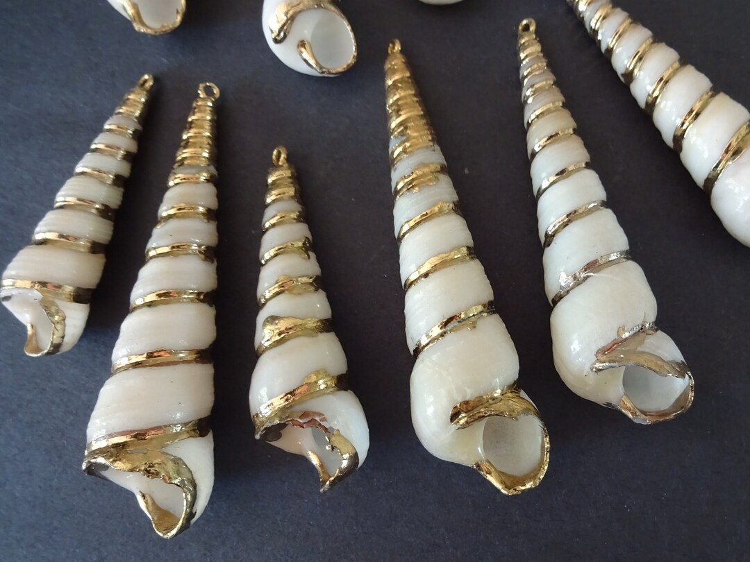 38-76mm Natural Spiral Shell Pendants With Gold Color Swirls ...