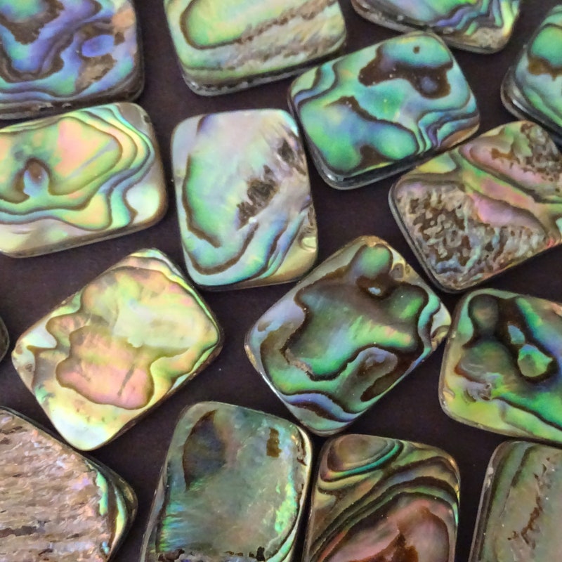 Blue Abalone Shell - Etsy