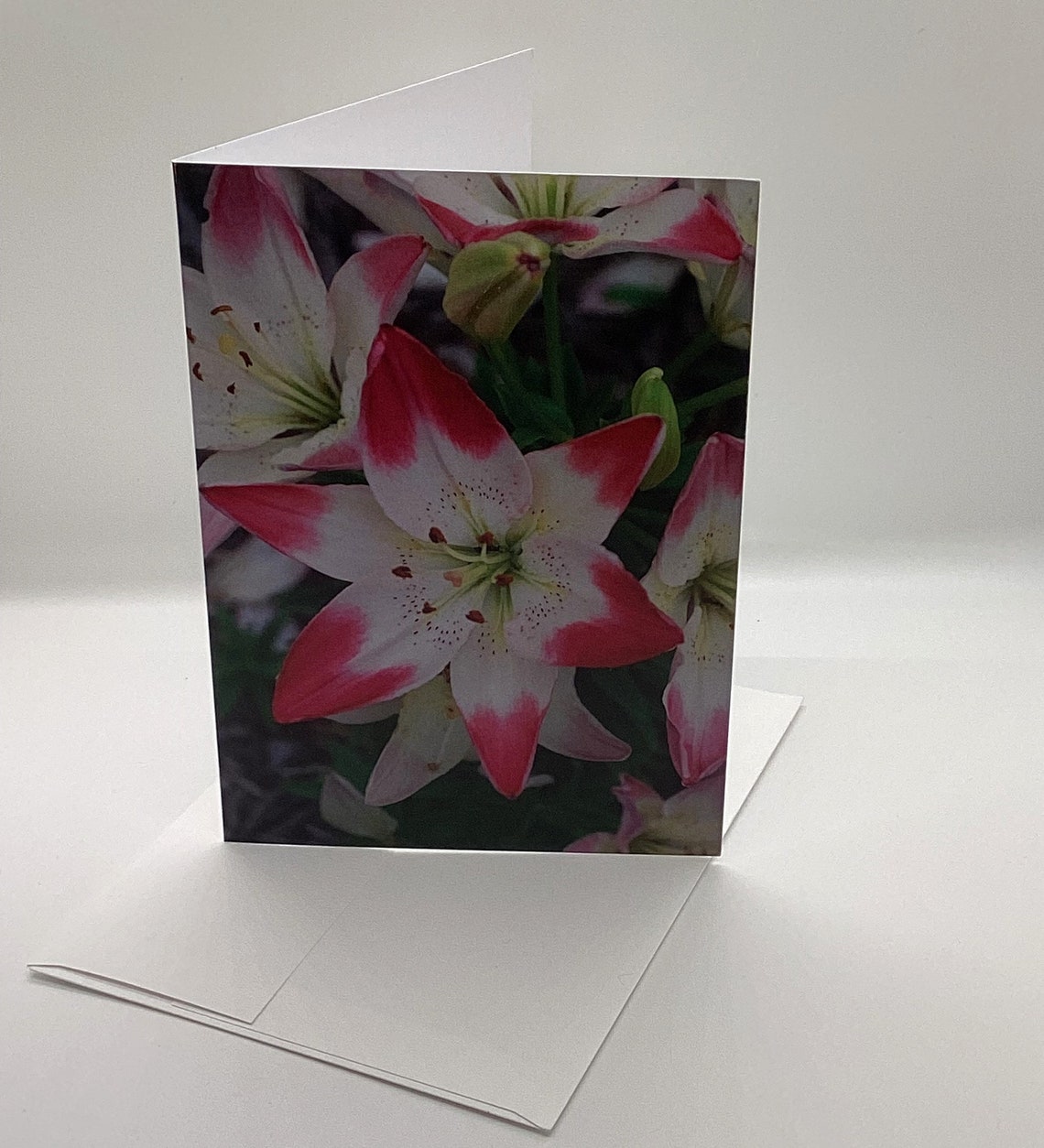 Flower Photo Card Set - Blank Note Cards - Etsy