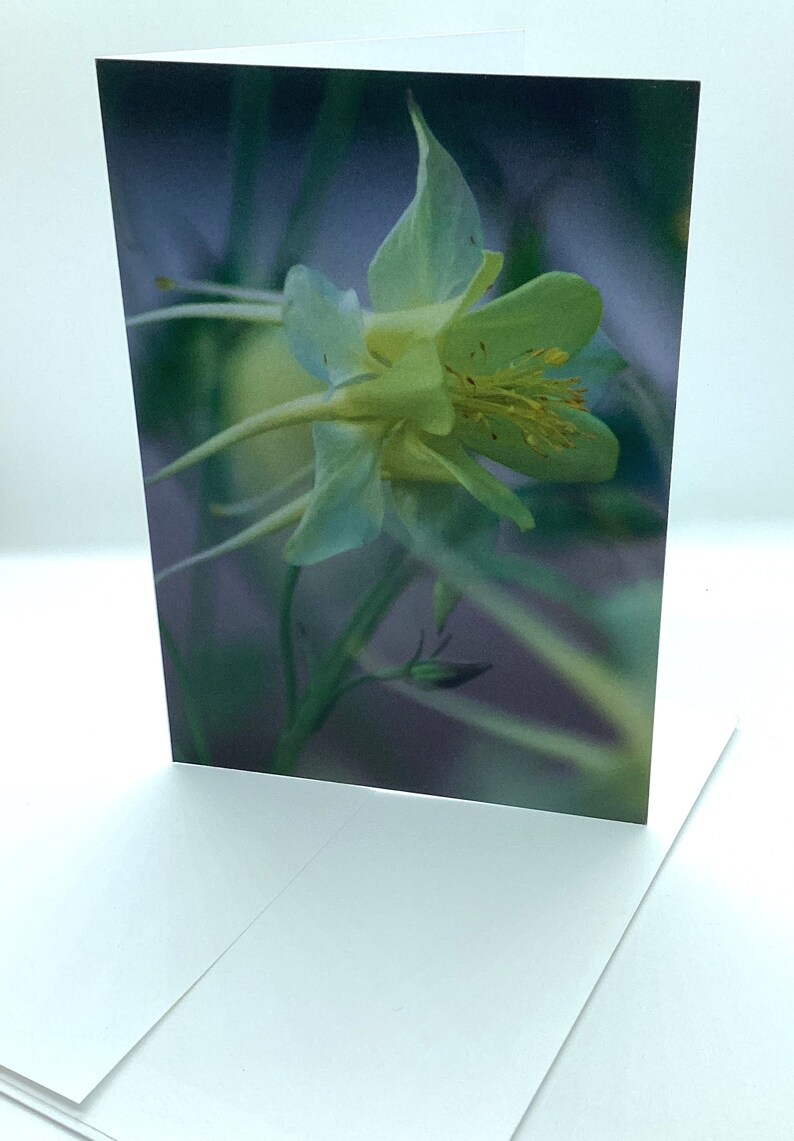 Flower Photo Card Set - Blank Note Cards - Etsy