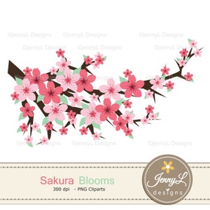 Cherry Blossoms Digital Paper and Clipart, Spring Korea Japanese Sakura ...