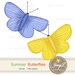 Summer Butterflies Digital Papers and Flowers Floral Clipart SET for ...