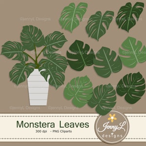 Monstera Leaves Digital Papers and Monstera Plant Clipart SET for ...