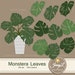 Monstera Leaves Digital Papers and Monstera Plant Clipart SET for ...