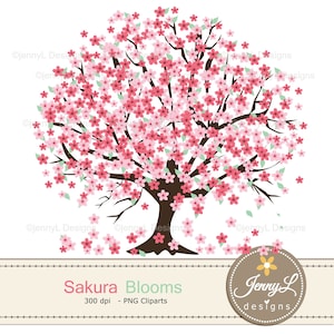 Cherry Blossoms Digital Paper and Clipart, Spring Korea Japanese Sakura ...