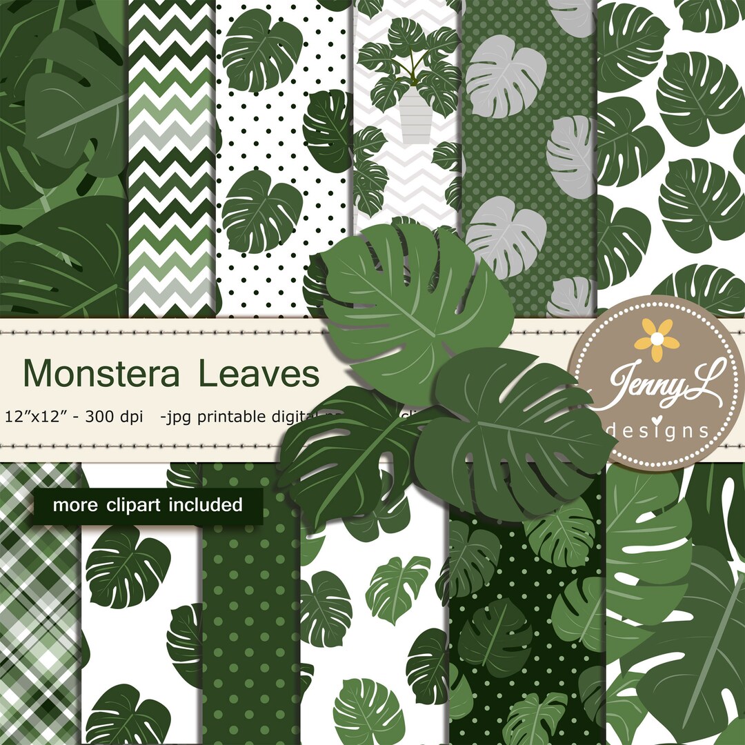 Monstera Leaves Digital Papers and Monstera Plant Clipart SET for ...