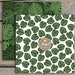 Monstera Leaves Digital Papers and Monstera Plant Clipart SET for ...