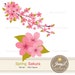 Spring Cherry Blossoms Digital Paper and Clipart, Japanese Sakura for ...