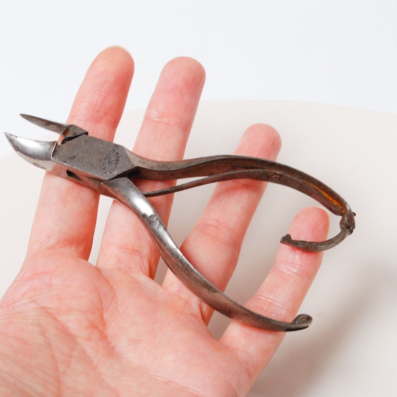 Antique Forceps - Etsy
