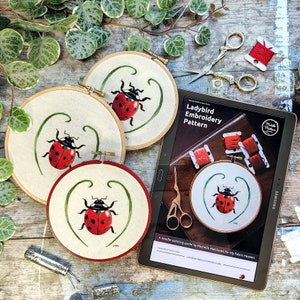 Ladybird Embroidery Pattern, Needlepainting Pattern & Photo Tutorial ...