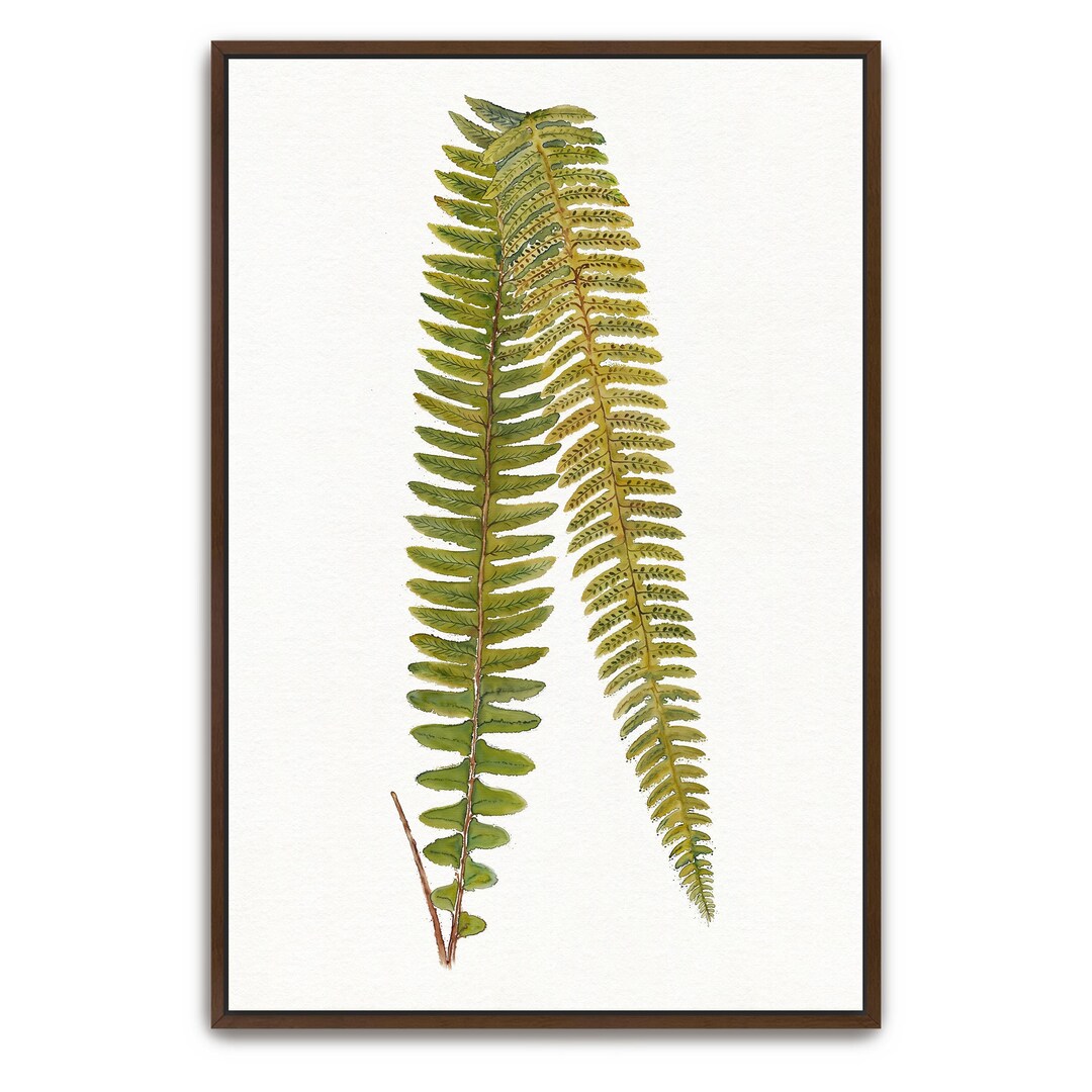 Fern Wall Art Print Extra Large Wall Decor Printable Poster, Vintage ...