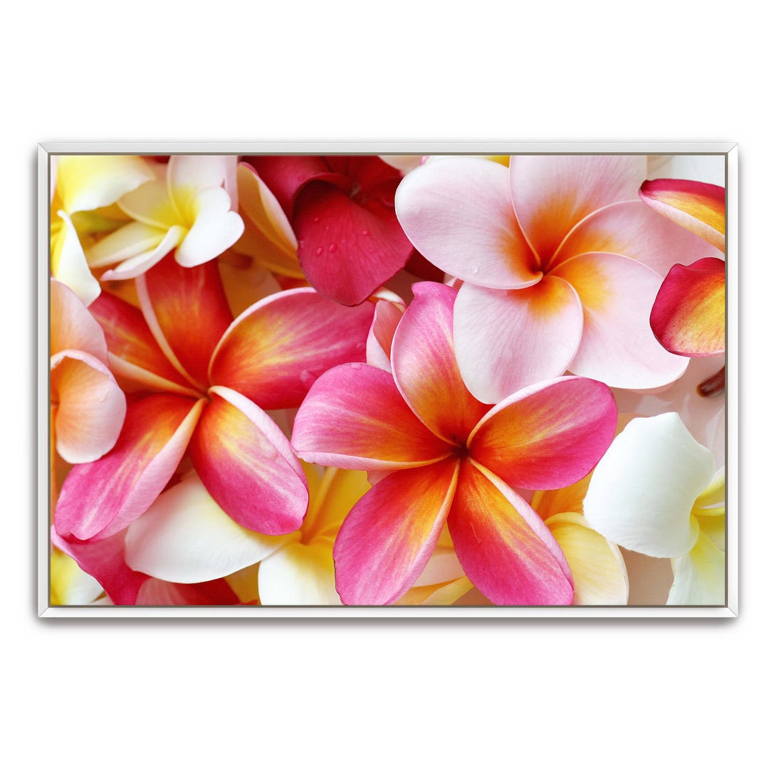 Tropical Plumeria Flower Wall Art Hawaiian Frangipani Printable for ...