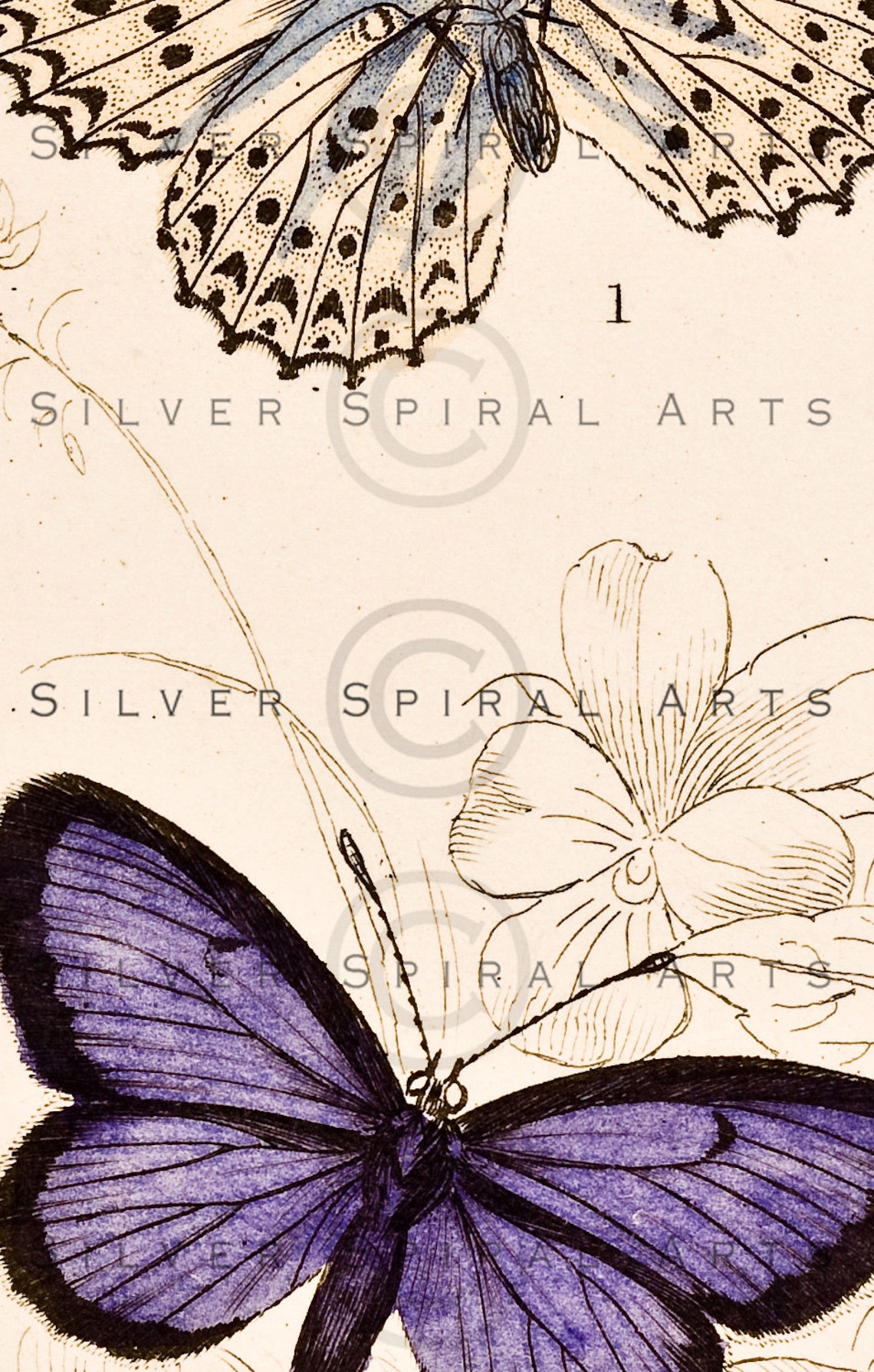 Vintage BUTTERFLY Printable Digital Download Antique - Etsy