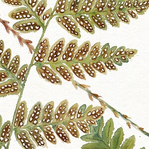 Botanical Painting Fern Poster Printable, Watercolor Fern Print Extra ...