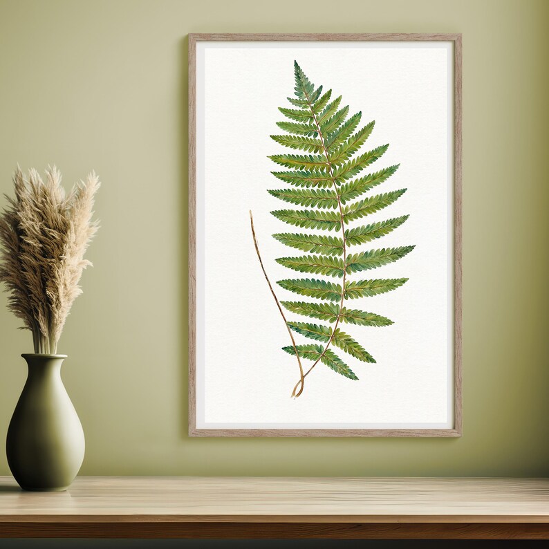Vintage Fern Botanical Watercolor Printable, Small to Extra Large Wall ...
