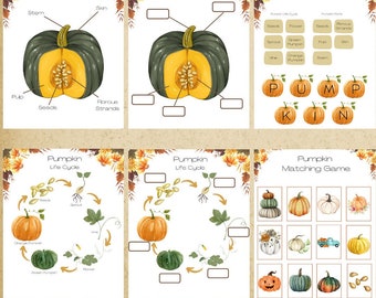 Printable Fall Bingo Sheet PDF Digital Download - Etsy