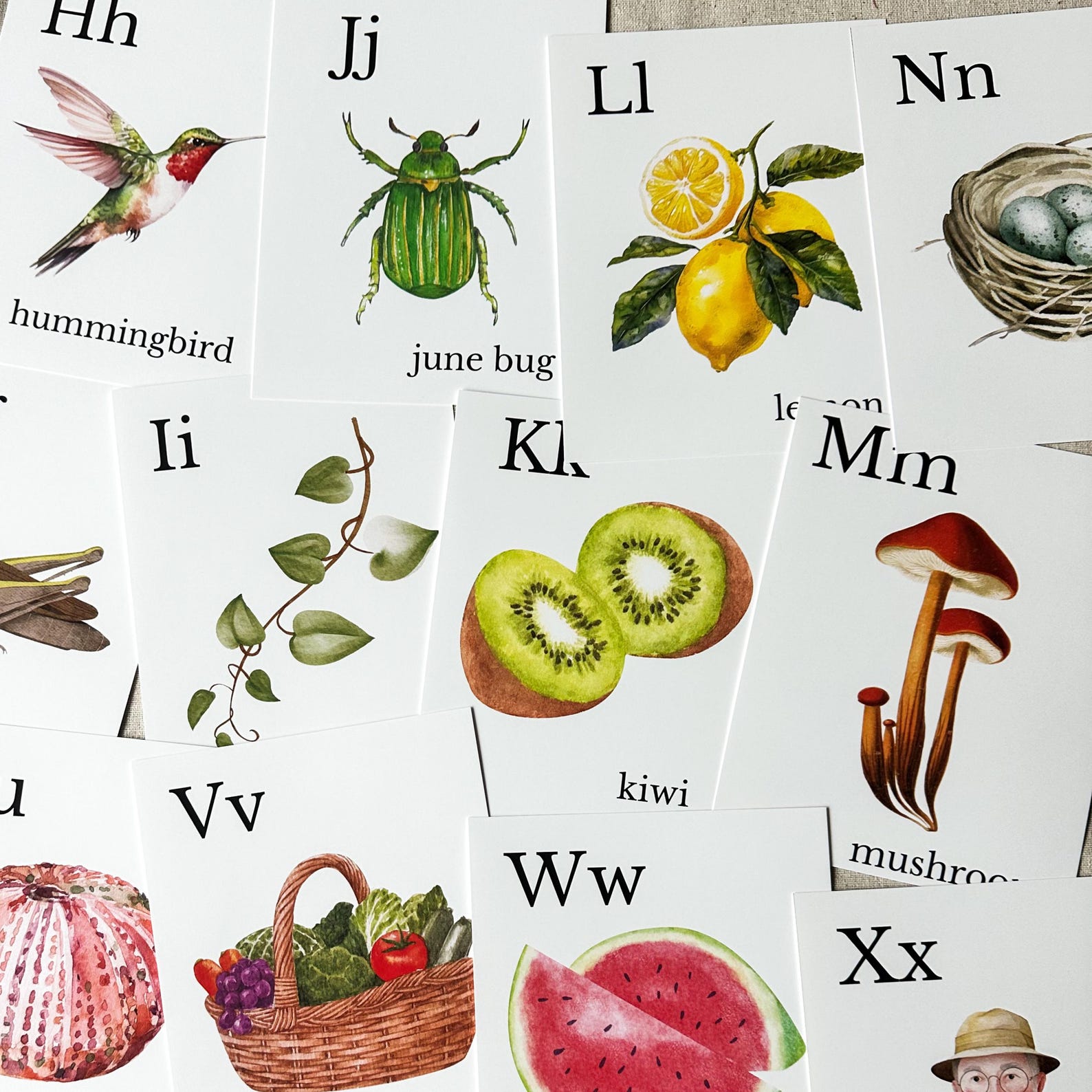 Nature Alphabet Flash Cards Farm Alphabet ABC Flashcards Watercolor ...
