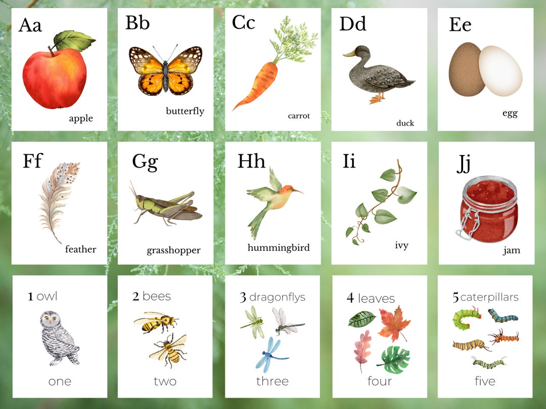 Nature Educational Bundle Preschool Pack Bundle Nature Flash Cards ...
