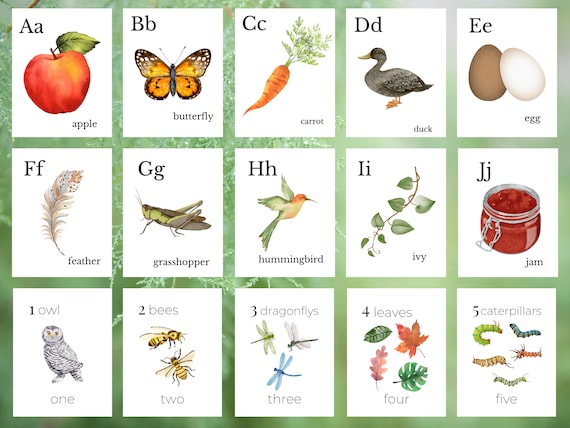Nature Bundle / Preschool Bundle / Nature Flash Cards / - Etsy