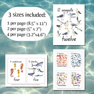 Ocean Number Cards 1-20 Classroom Math Counting Cards Nursery Wall Art ...