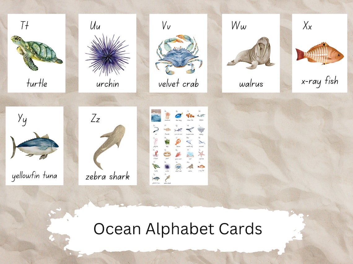 Ocean Alphabet Flash Cards / Ocean Theme Flashcards / ABC Cards ...