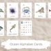 Ocean Alphabet Flash Cards / Ocean Theme Flashcards / ABC Cards ...