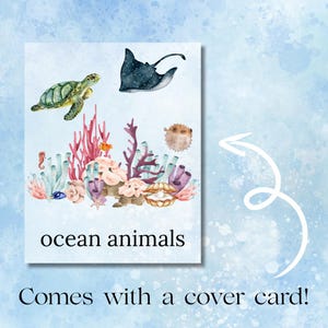 Ocean Animal Cards for Animal Recognition Beachy Prints for Toddler ...