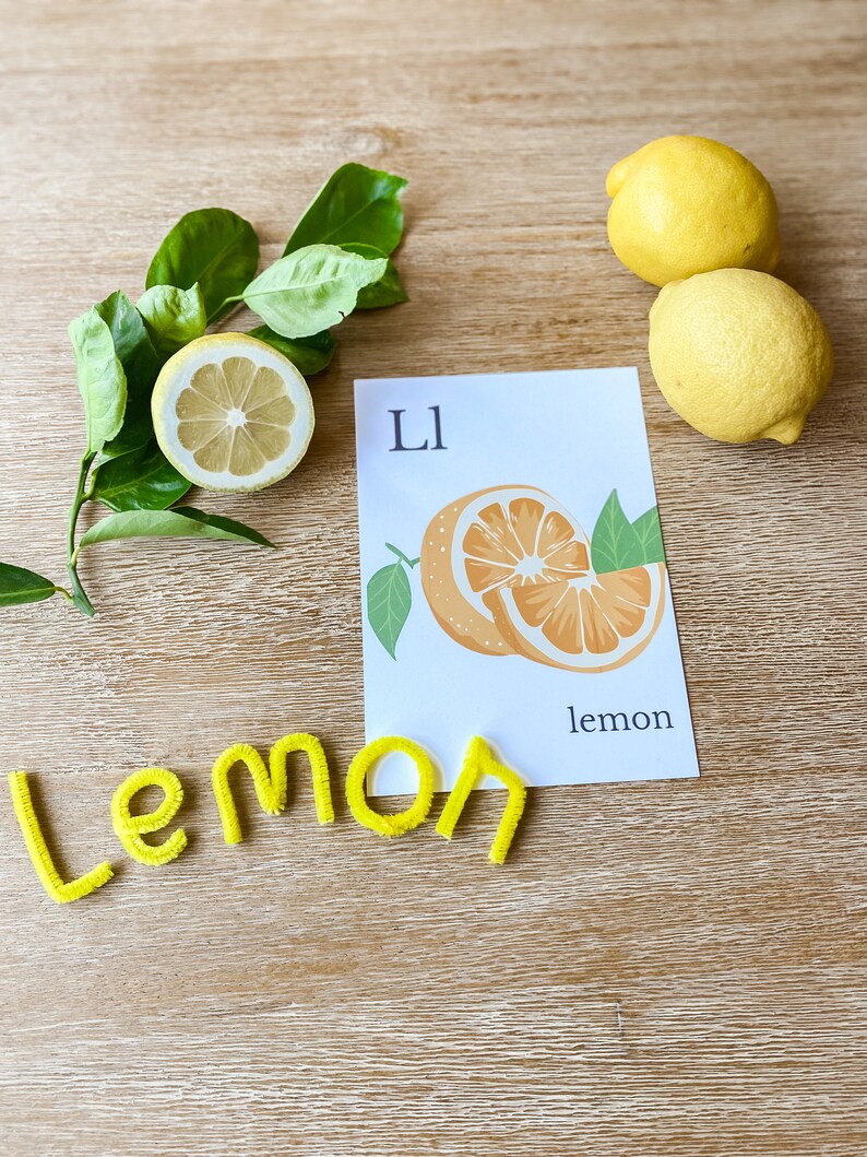 Nature Alphabet Flash Cards / Farm Alphabet Cards / ABC Cards ...