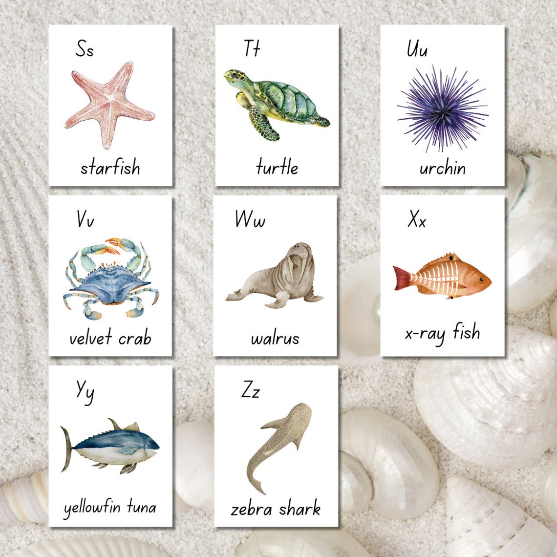 Ocean Alphabet Flash Cards Ocean Theme Educational ABC Cards Watercolor ...