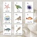 Ocean Alphabet Flash Cards Ocean Theme Educational ABC Cards Watercolor ...