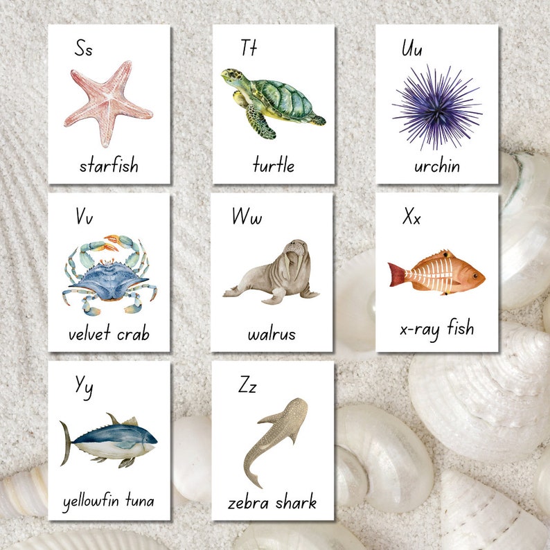 Ocean Alphabet Flash Cards Ocean Theme Educational ABC Cards Watercolor ...