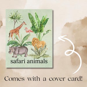Safari Animal Recognition Cards Jungle Animal Prints for Toddler ...