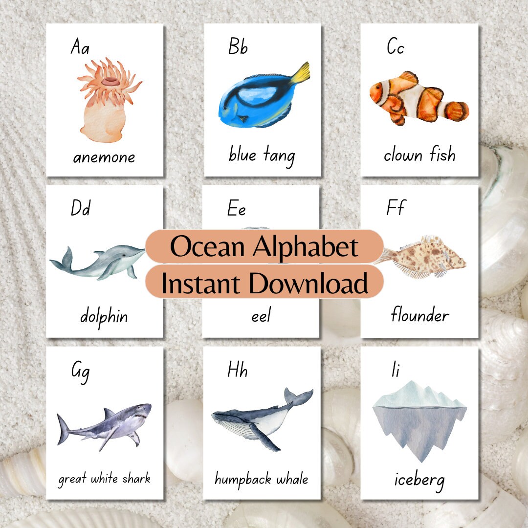 Ocean Alphabet Flash Cards Ocean Theme Educational ABC Cards Watercolor ...