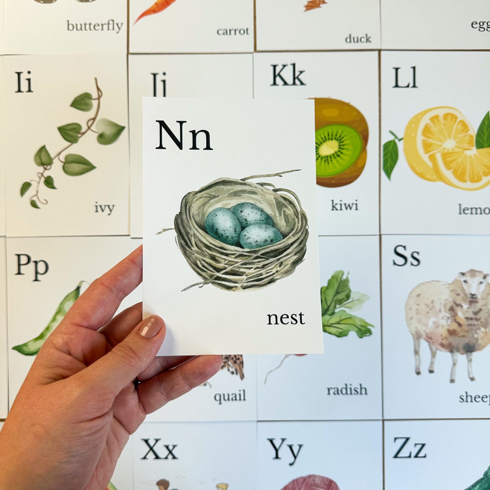 Nature Alphabet Flash Cards Farm Alphabet ABC Flashcards Watercolor ...