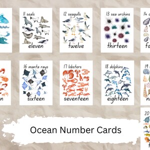 Ocean Number Cards 1-20 Classroom Math Counting Cards Nursery Wall Art ...