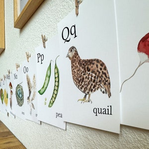 Nature Alphabet Flash Cards Farm Alphabet ABC Flashcards Watercolor ...