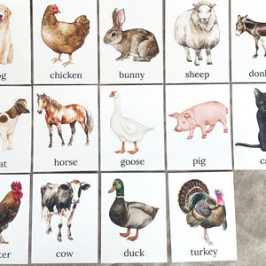 Farm Animal Recognition Cards Farming Prints for Prek and Kindergarten ...