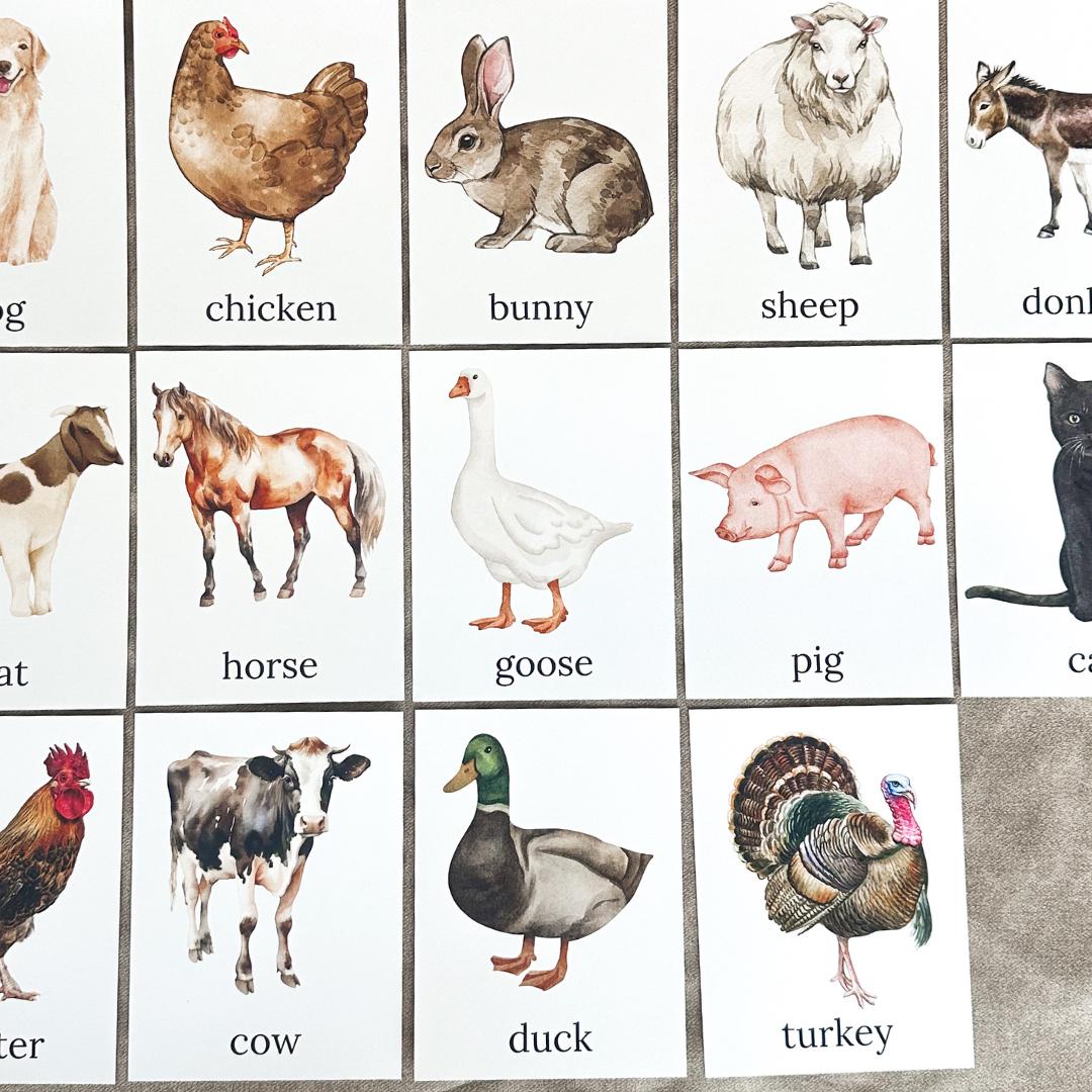 Farm Animal Recognition Cards Farming Prints for Prek and Kindergarten ...