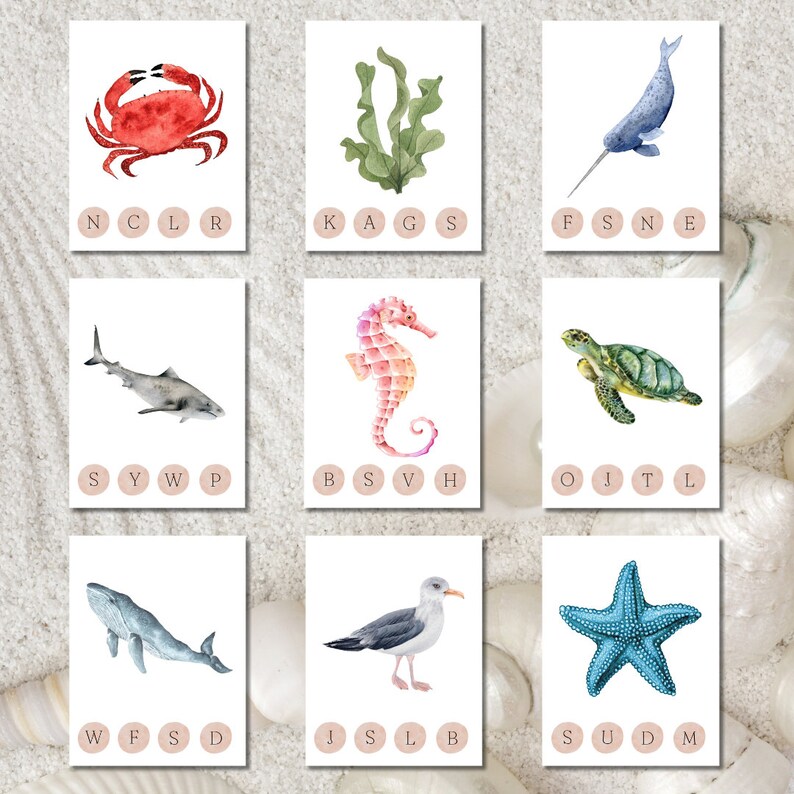 Ocean Letter Clip Cards English Alphabet Ocean Flashcards Elementary ...